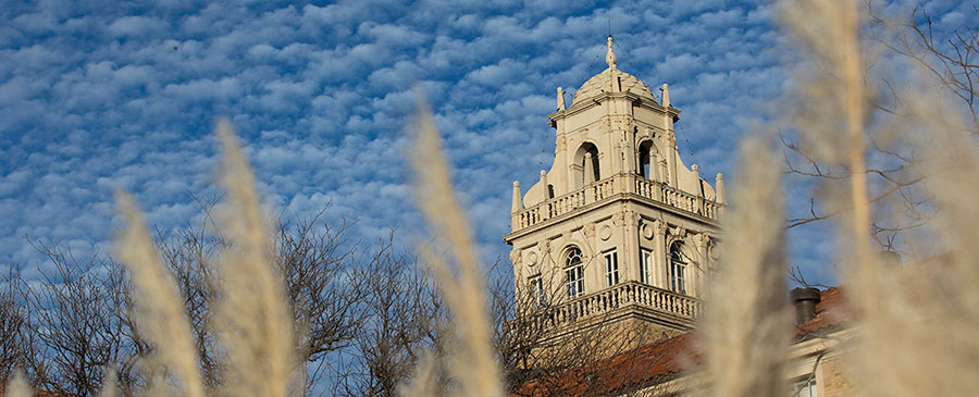 Texas Tech University System | Texas Tech University System