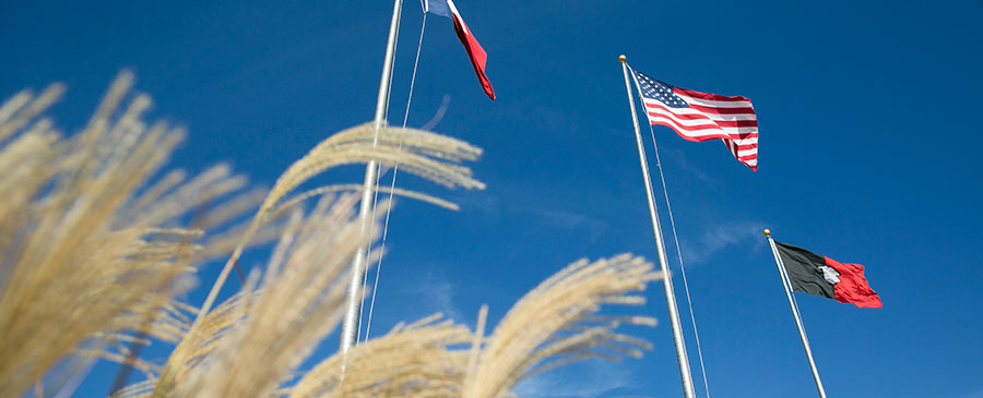 Texas Tech University System | Texas Tech University System