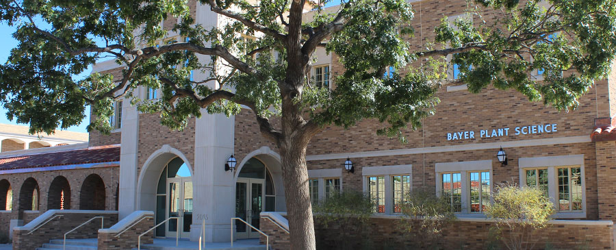 Ribbon Cutting for the Bayer Plant Science Building | Texas Tech ...