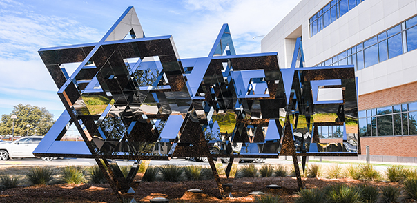 Leader & Culture Development | Texas Tech University System